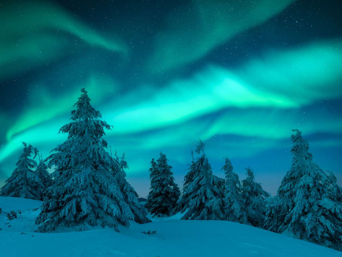 ¿Por qué viajar a Laponia y cuándo es la mejor época para hacerlo ...